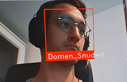 FACIAL RECOGNITION – DOMEN SNUDERL